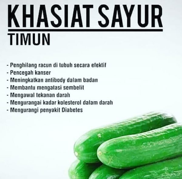 Khasiat Sayur Timun – Baroya Pertanian