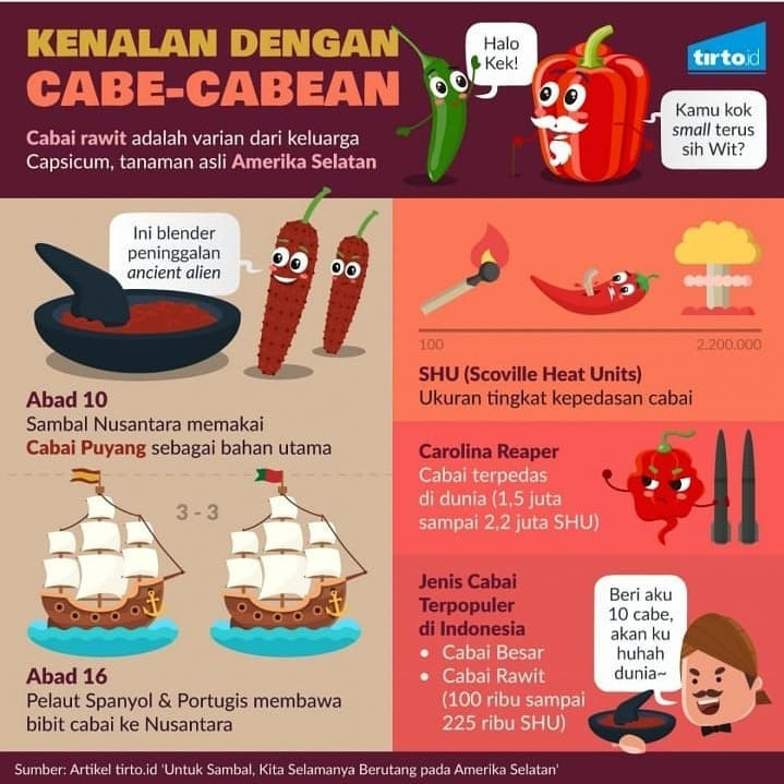 Mengenal Macam Cabe – Baroya Pertanian